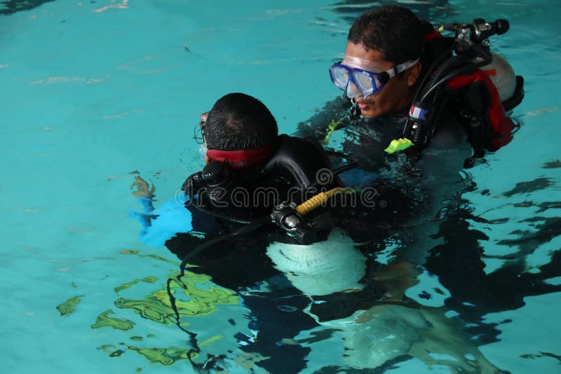 A Group of People Doing Diving Training in a Swimming Pool Editorial ...