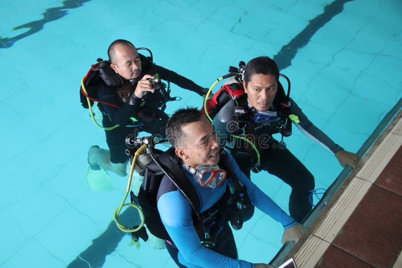 A Group of People Doing Diving Training in a Swimming Pool Editorial ...