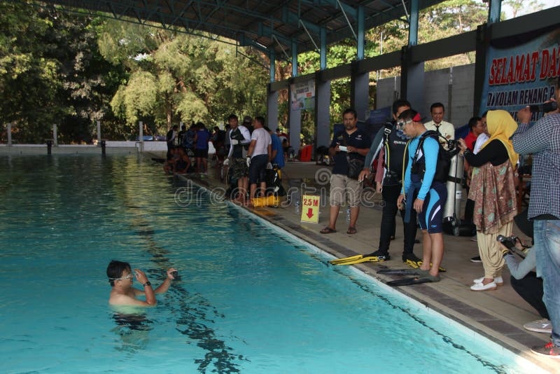 A Group of People Doing Diving Training in a Swimming Pool Editorial ...