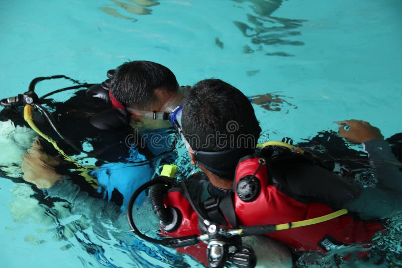 A Group of People Doing Diving Training in a Swimming Pool Editorial ...