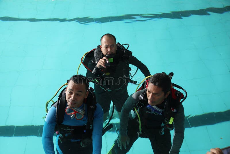 A Group of People Doing Diving Training in a Swimming Pool Editorial ...
