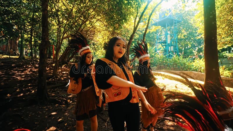 Group of People in a Forest with Sunlight Filtering through the Trees ...