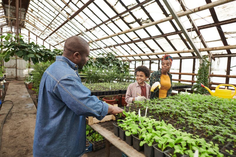 Group of People in a Greenhouse Stock Image - Image of industry, botany ...
