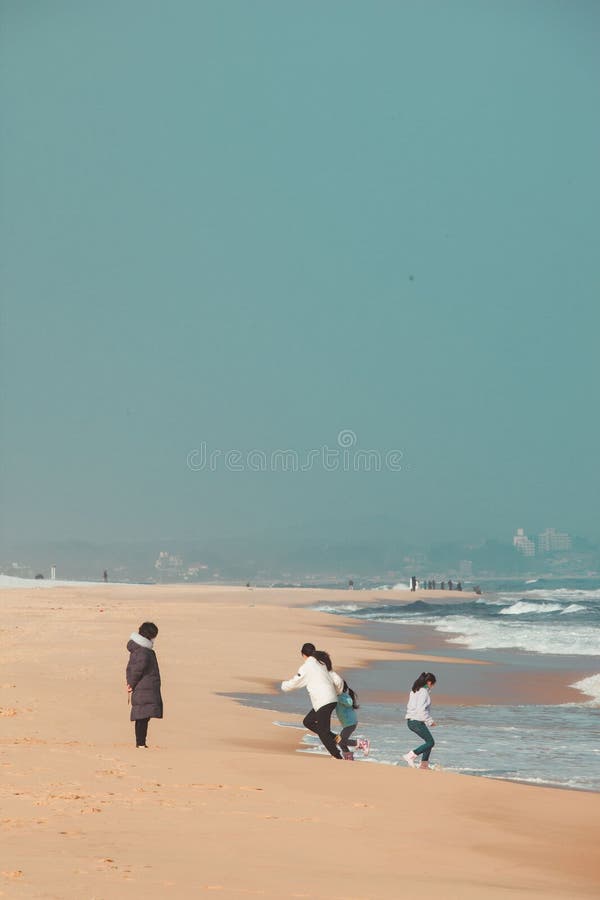 Group of People Having Fun on the Sandy Seashore Stock Photo - Image of ...