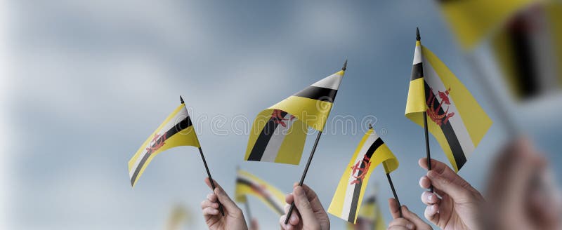 A Group of People Holding Small Flags of the Brunei in Their Hands ...