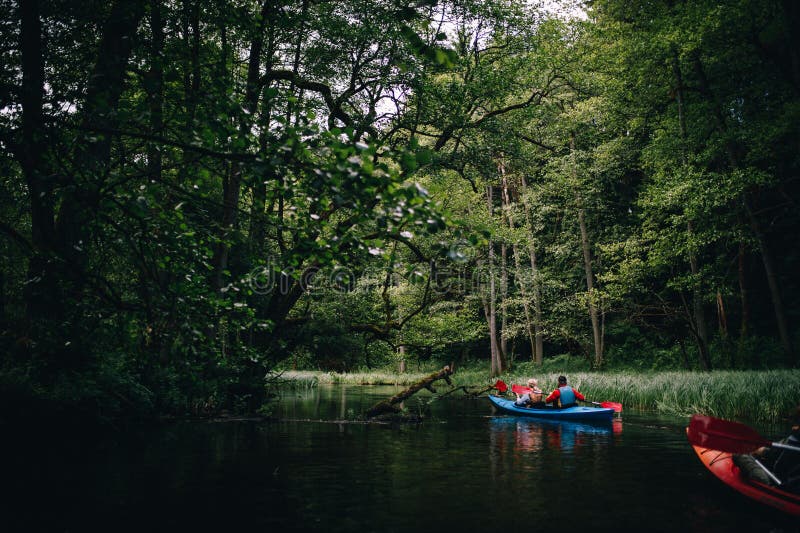 Group of People Kayaking on the River in the Green Forest Stock Image ...