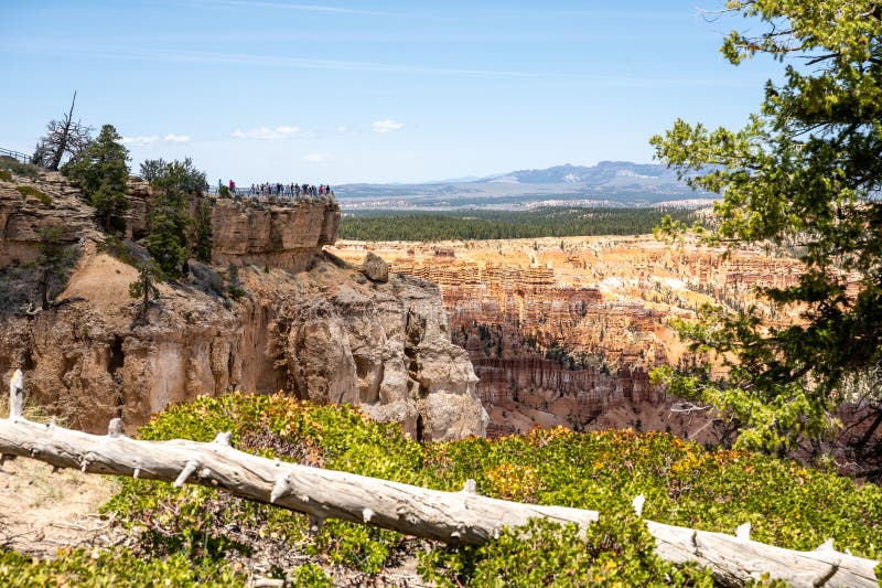 Group of People Look Out Over Bryce Point Stock Image - Image of ...