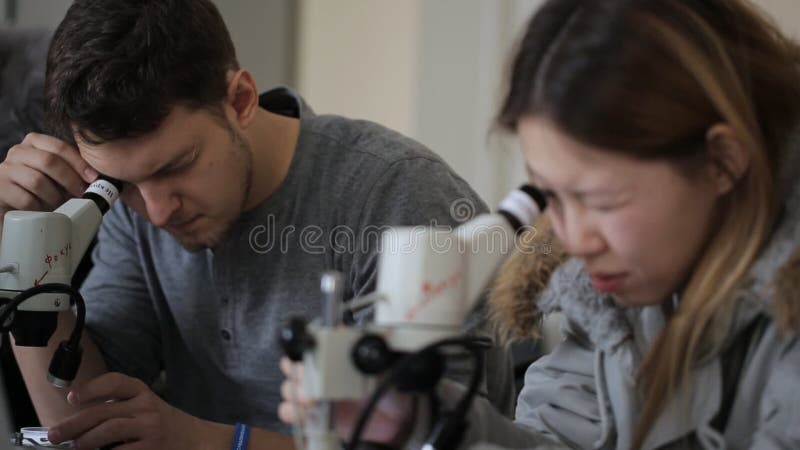 Group of People Make Observation with Help of Microscope in Laboratory ...