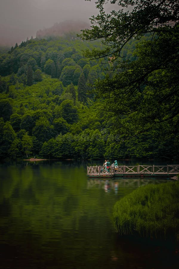 Group of People Standing on a Rustic Wooden Bridge, Looking Out Over a ...