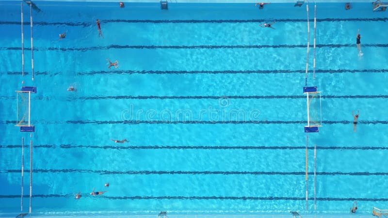 Group of People Swimming in a Pool Stock Video - Video of community ...