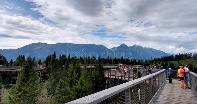 Group of People at the View Deck Looking at the Forest and Mountain ...
