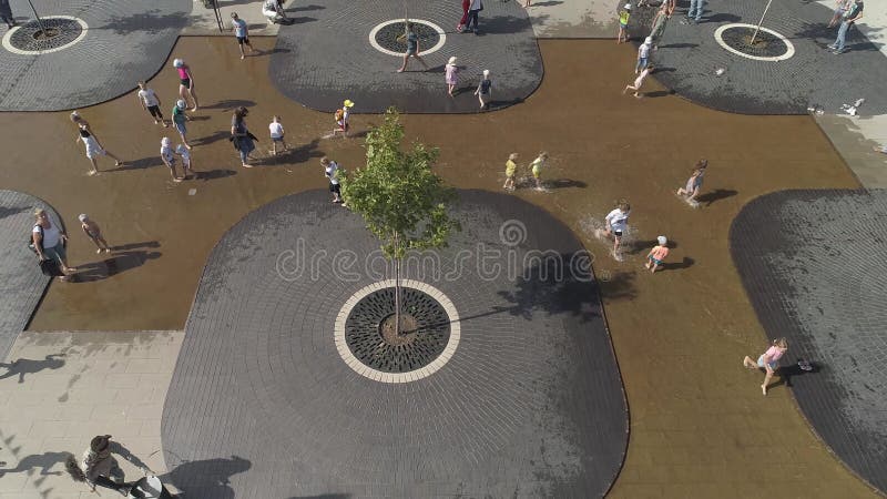 A Group of People are Walking Around a Park with a Tree in the Middle ...