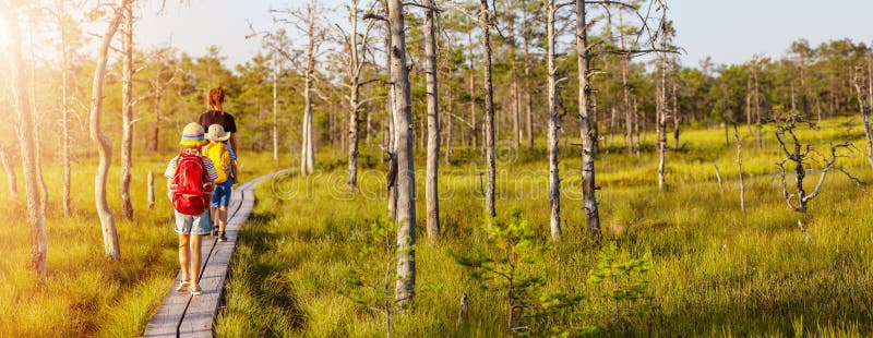 Group of the People Walking on the Broadwalk on the Bog. Stock Photo ...