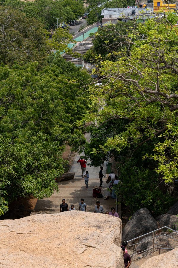 A Group of People are Walking Down a Path in a Forest Editorial Photo ...