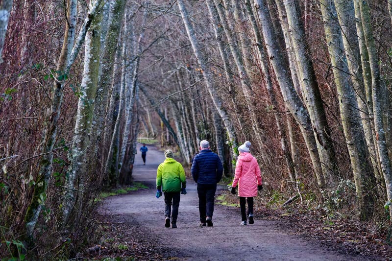 Group of People Walking Down the Path between Trees that Grow Out of ...