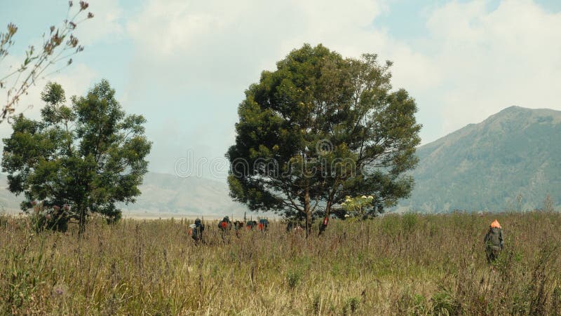 A Group of People are Walking through a Field of Tall Grass Stock Photo ...