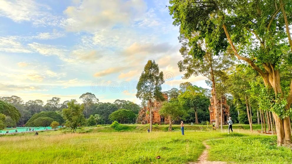 A Group of People are Walking in a Field with Trees Stock Photo - Image ...
