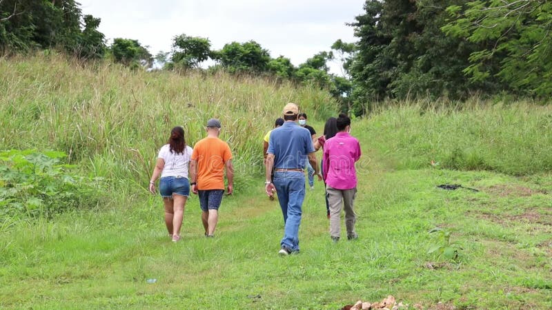 Group of People Walking through Fields and Taking Classes in a Cacao ...