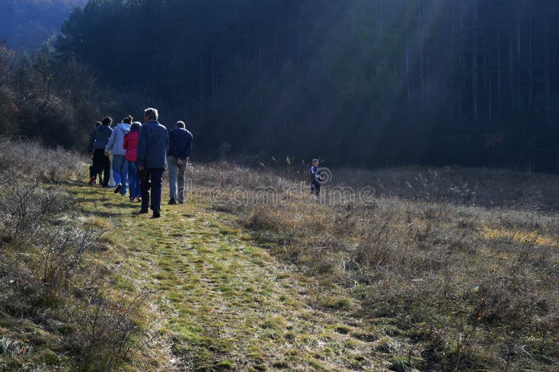 Group of People Walking through the Forest Editorial Stock Photo ...