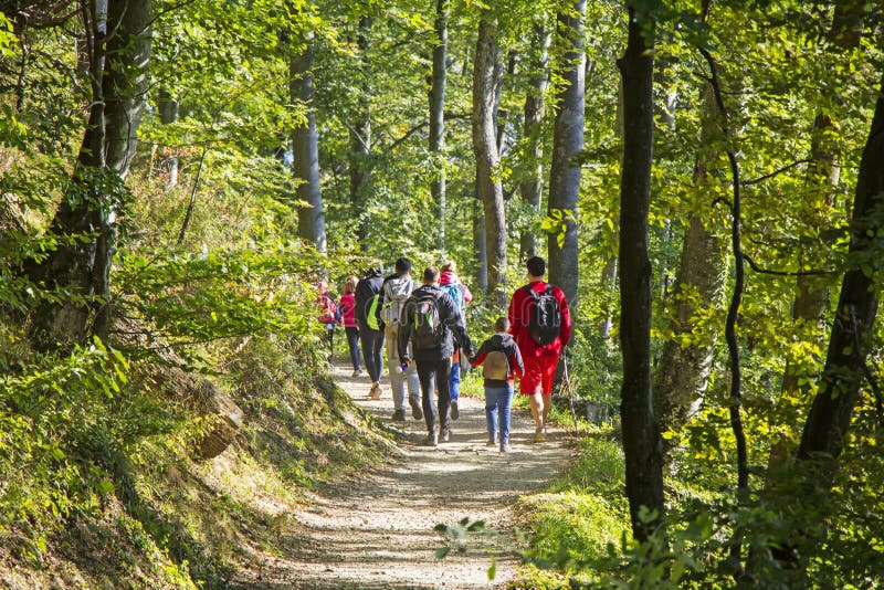 Group of People Walking by Hiking Trail Editorial Image - Image of ...