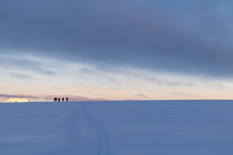 A Group of People Walking through the Snow in Antarctica Stock Image ...
