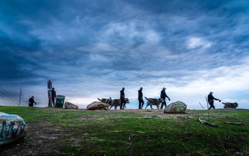 Group of People Walking Their Dogs on the Green Valley Under the Cloudy ...