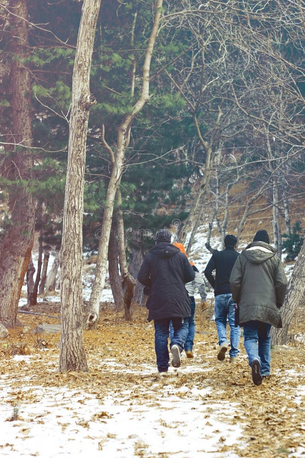 Group of People Walking in the Woods during Fall Editorial Photography ...