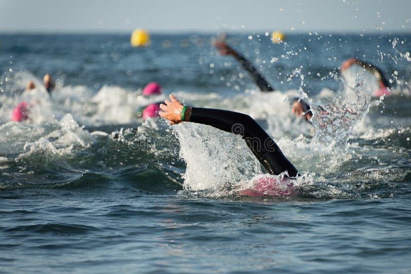 Group People in Wetsuit Swimming Stock Image - Image of neoprene ...