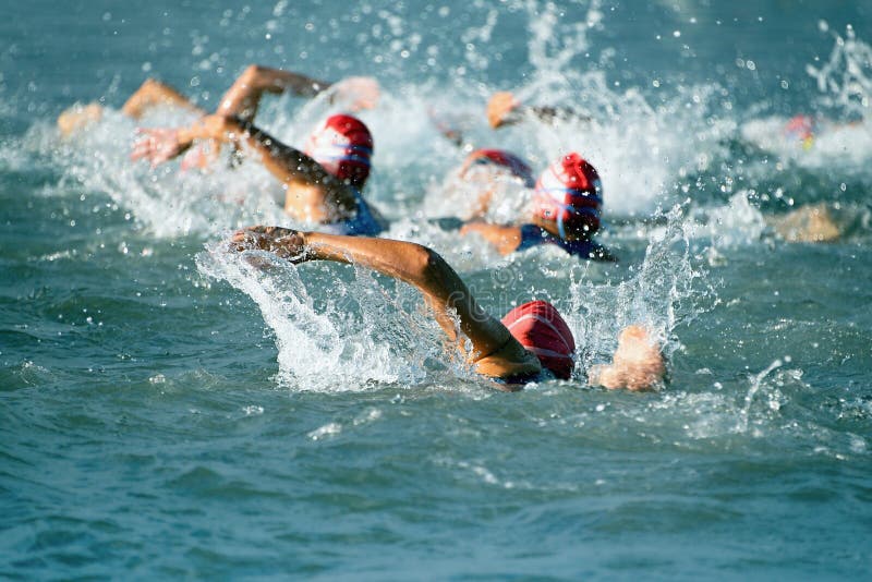 Group People in Wetsuit Swimming Stock Photo - Image of male, speed ...