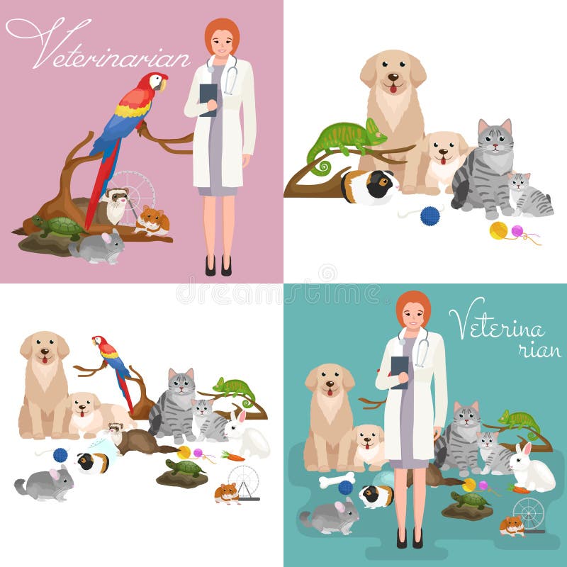 Group Pets Veterinary Doctor Animals Patient Stock Illustrations – 10 ...