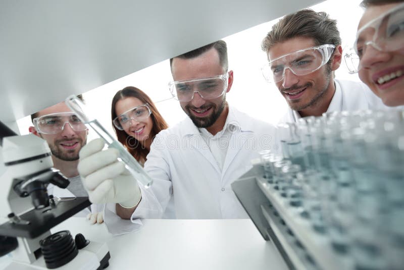 Group of Pharmacists Working in the Laboratory. Stock Image - Image of ...
