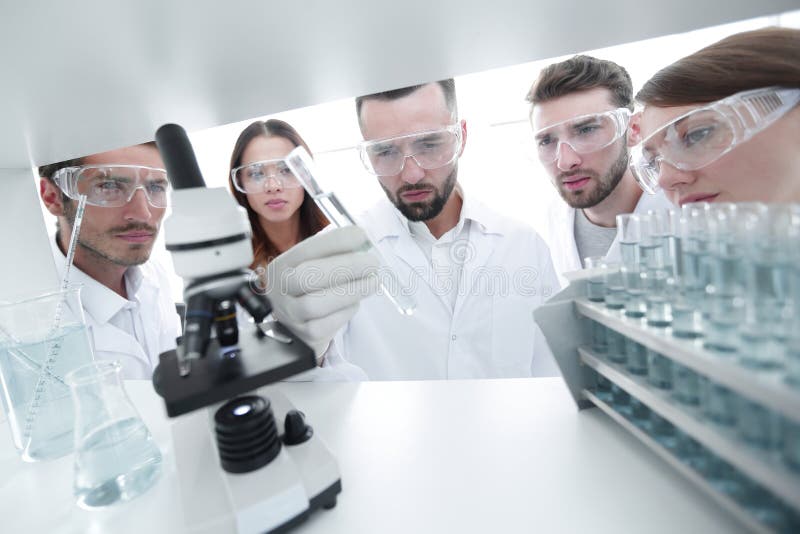 Group of Pharmacists Working in the Laboratory. Stock Image - Image of ...