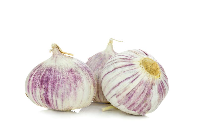 Pink garlic. stock photo. Image of kitchen, plant, flavour - 19691148