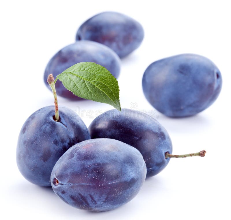 Plums stock image. Image of food, autumn, vegetable, plums - 23753893