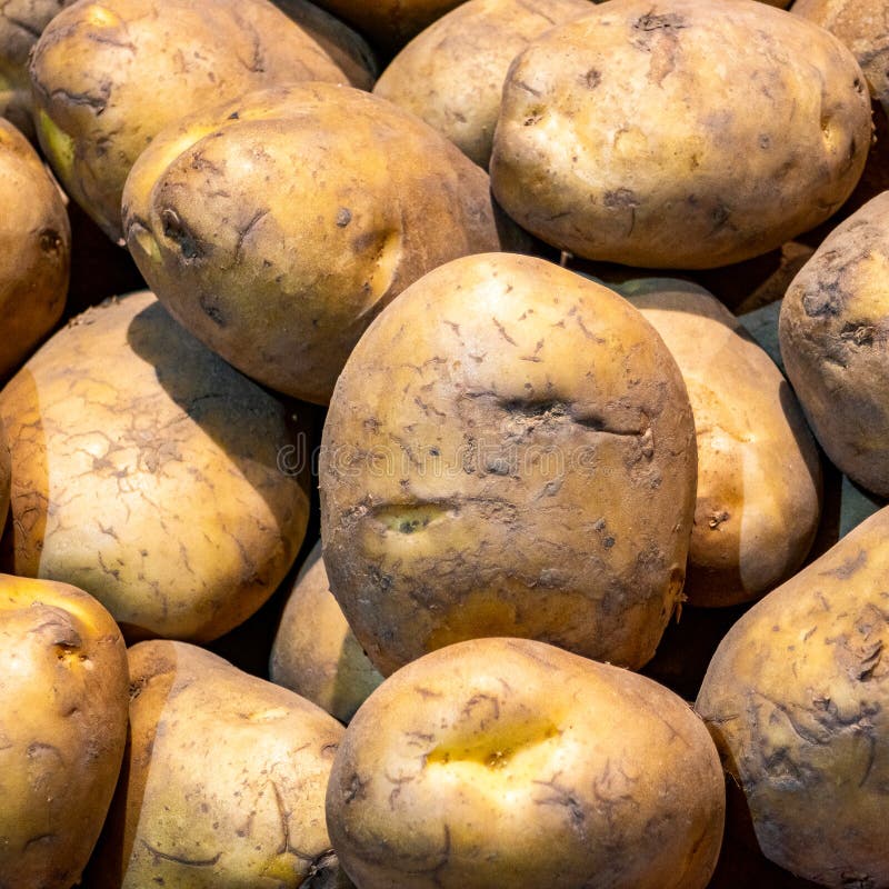 Group of Potatoes. on the Market Stall Stock Photo - Image of healthy ...