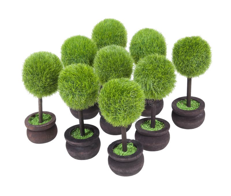 Group of Potted Trees stock photo. Image of potted, group - 28301682
