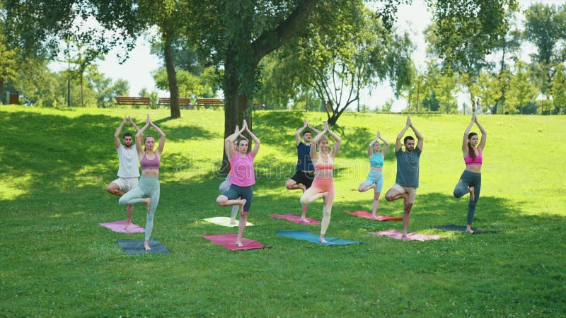 Group Practicing Tree Pose in Park Yoga Session Stock Footage - Video ...