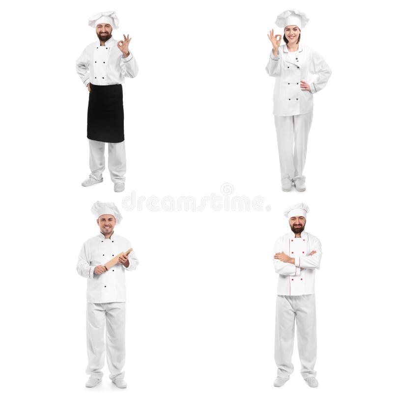 Group of Chefs on White Background Stock Image - Image of group ...