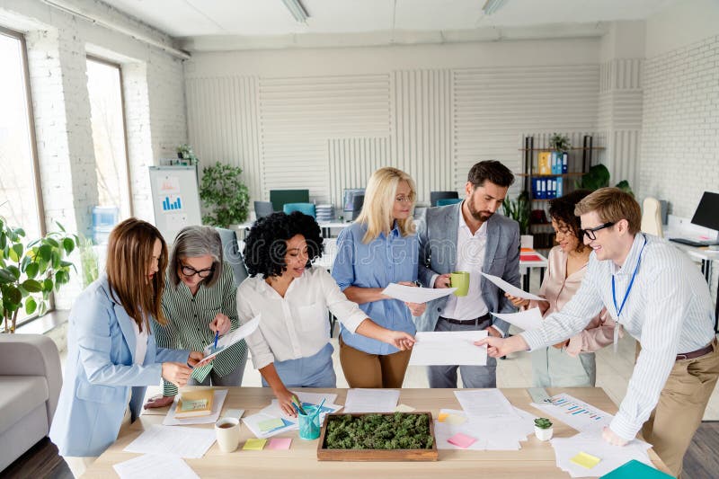 Group Professionals Collaborating Project Organized Office Environment ...