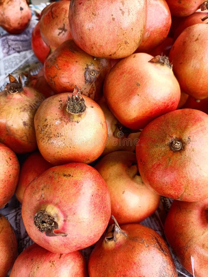 Promogran Stock Photos - Free & Royalty-Free Stock Photos from Dreamstime