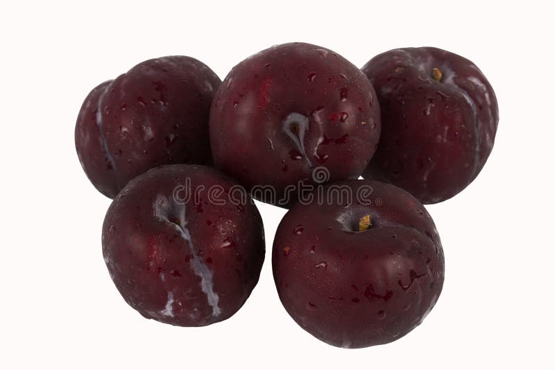 Plums stock photo. Image of white, fruit, prunus, nutritious - 2629838