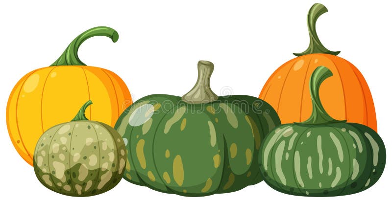 Group of pumpkins vector stock vector. Illustration of green - 270606159
