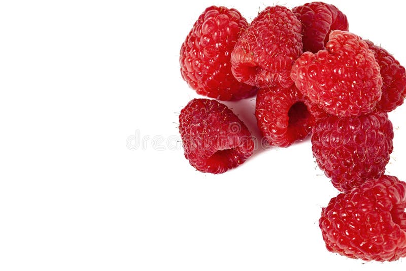 Collection of Raspberry Isolated on White Background Stock Photo ...