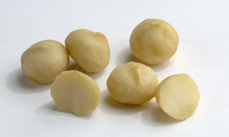 Macadamia in the rough stock photo. Image of tasty, nuts - 918010