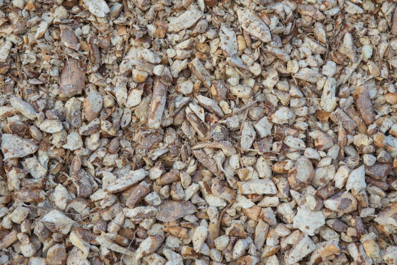 Group of Raw Tapioca for Dry in the Sun at Rural of Thailand Stock ...