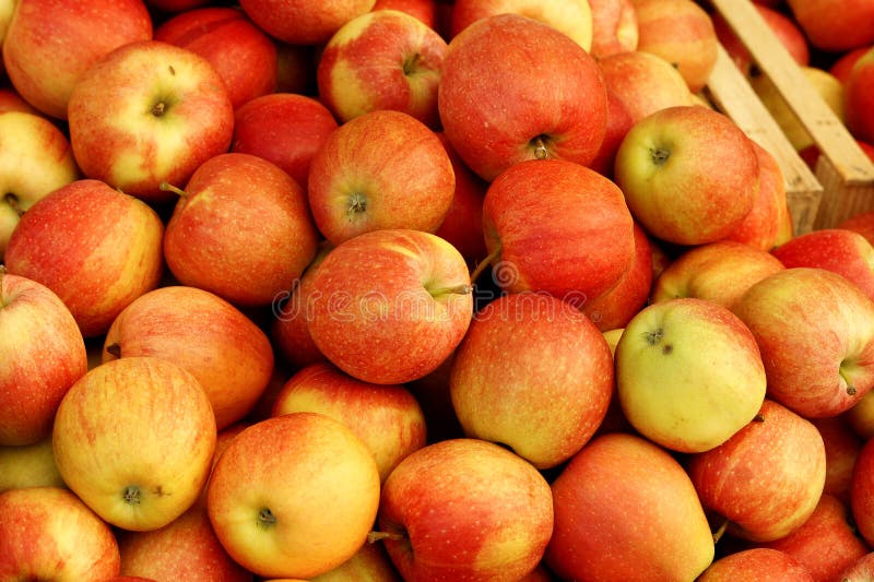 Group of red apples stock photo. Image of apple, freshness - 41828998