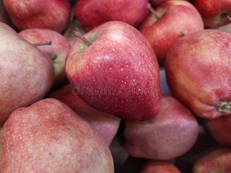 131 Apples Divided Photos - Free & Royalty-Free Stock Photos from ...