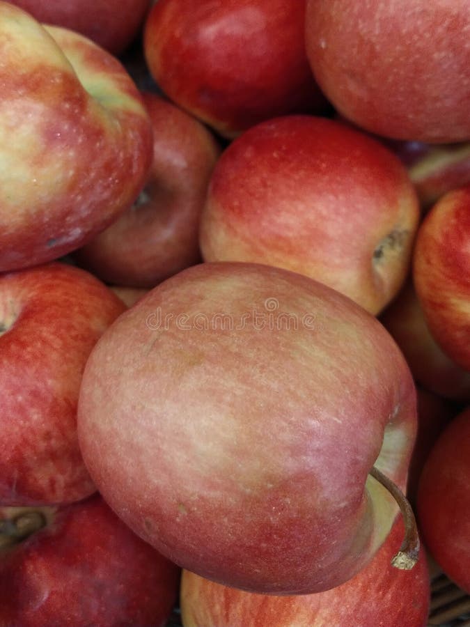 139 Apples Divided Stock Photos - Free & Royalty-Free Stock Photos from ...