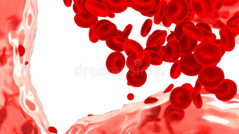 Red Blood Cells on White Background. Stock Illustration - Illustration ...