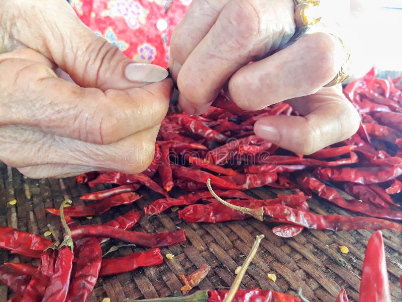 Group red chilli in basket stock photo. Image of groupred - 141382610